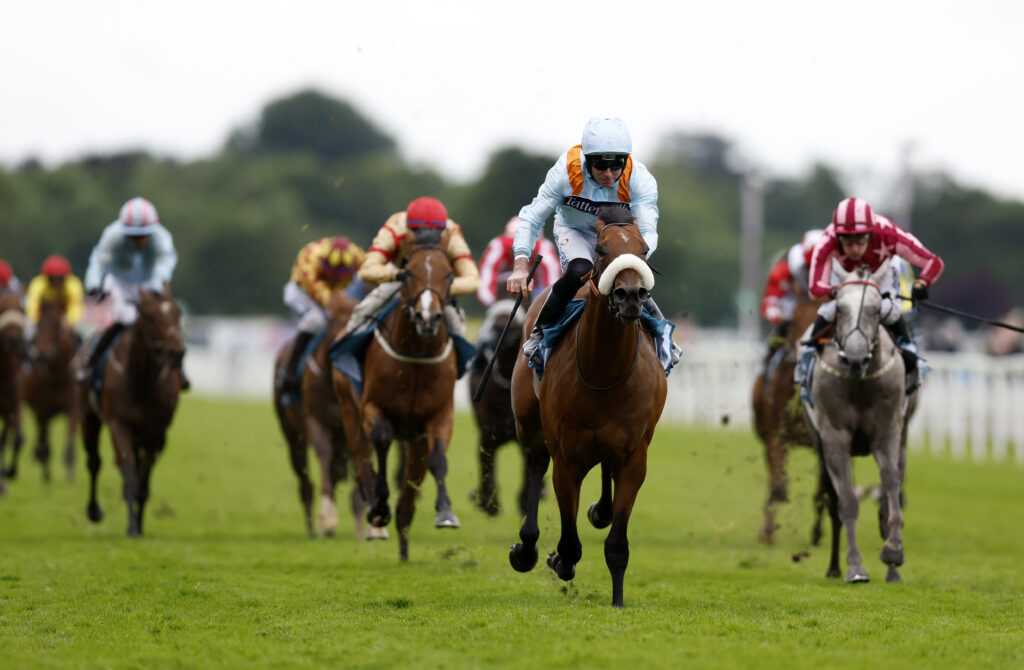 Railway Stakesmission for The Strikin Viking this weekend – User's blog