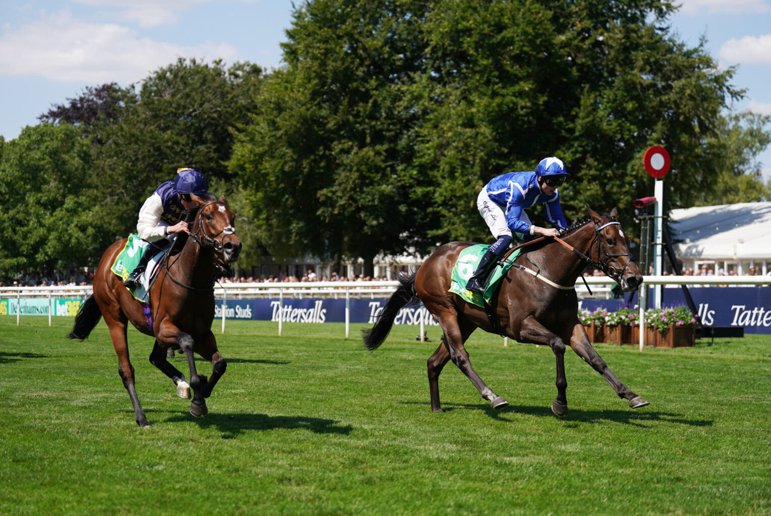 Venetian Sun out to shineinCommonWealth Cup – User's blog